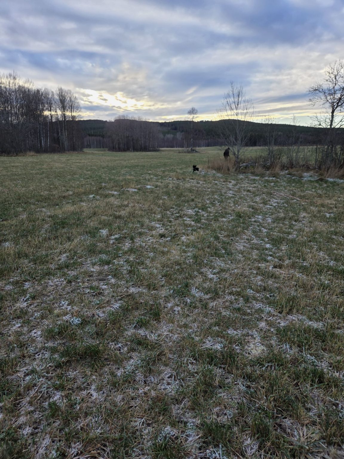 Ut På åkern I Kniva. - Orsakulla Mamma Vid 20 - Dalaliv, Finporslin ...